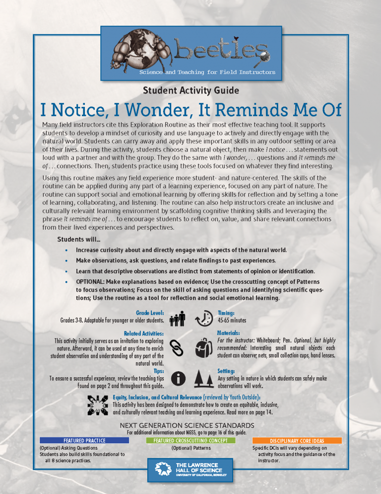 Beetles Project I Notice, I Wonder, It Reminds Me Of - Beetles Project