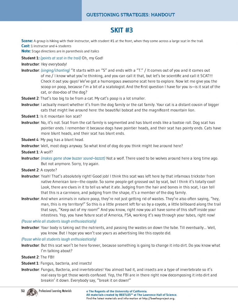 Beetles Project Questioning Strategies - Beetles Project