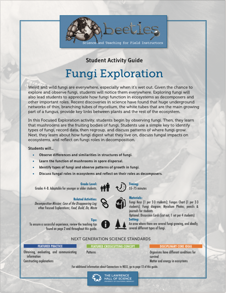 Beetles Project Fungi Exploration - Beetles Project