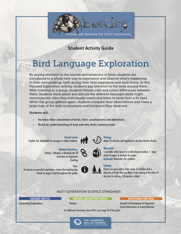 Beetles Project Bird Language Exploration - Beetles Project