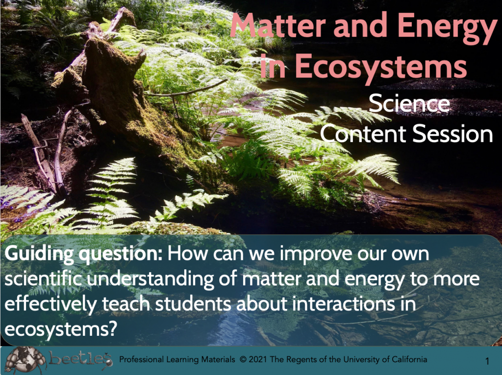 Beetles Project Matter and Energy in Ecosystems - Beetles Project