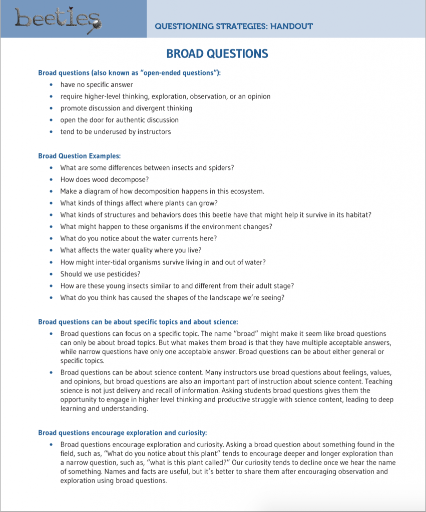 Beetles Project Questioning Strategies - Beetles Project