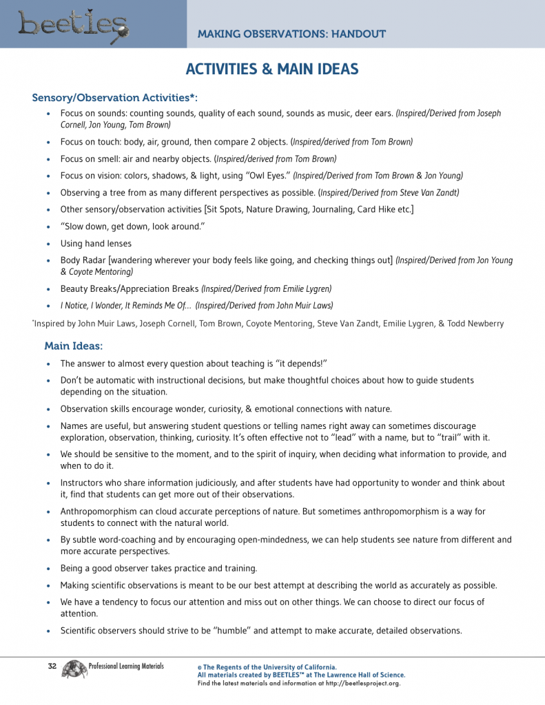 Beetles Project Making Observations - Beetles Project