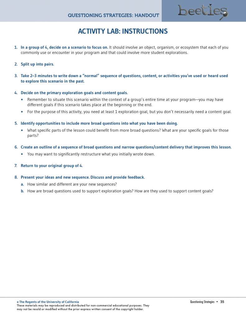 Beetles Project Questioning Strategies - Beetles Project