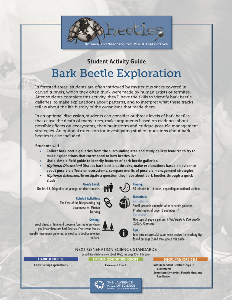 Beetles Project Bark Beetle Exploration - Beetles Project