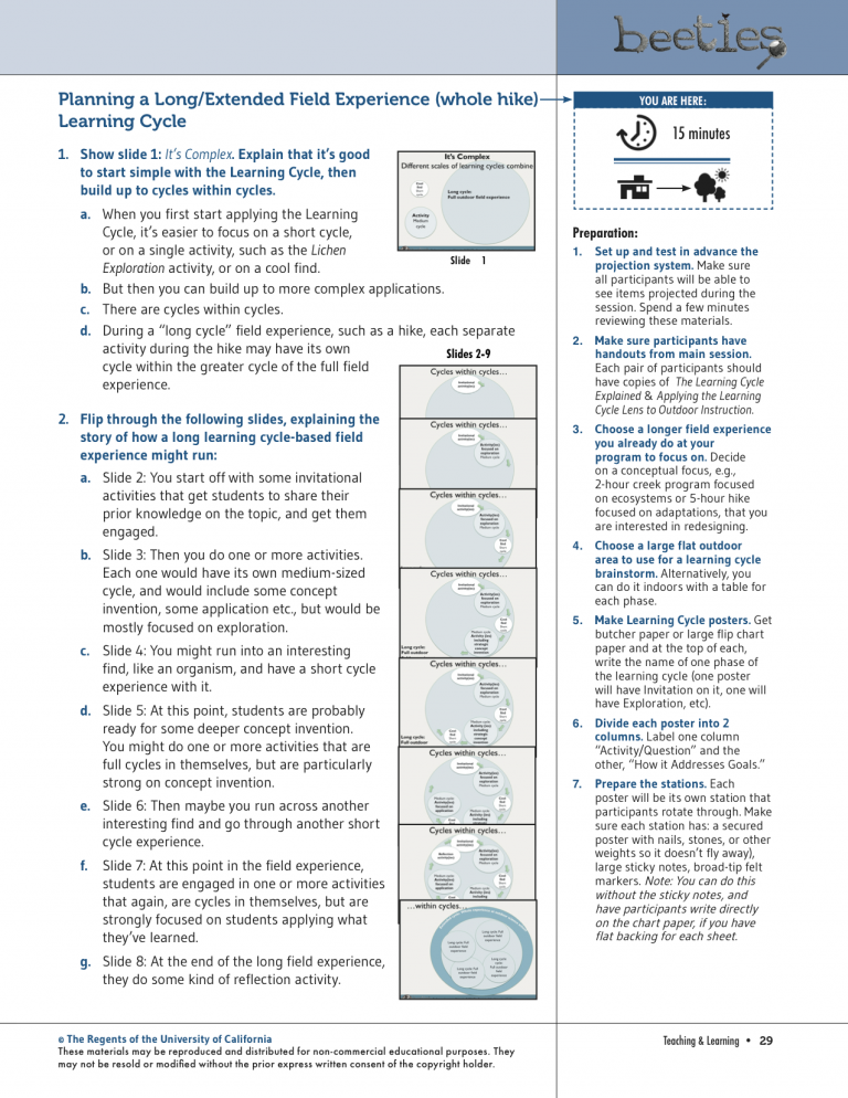 Beetles Project Teaching and Learning - Beetles Project