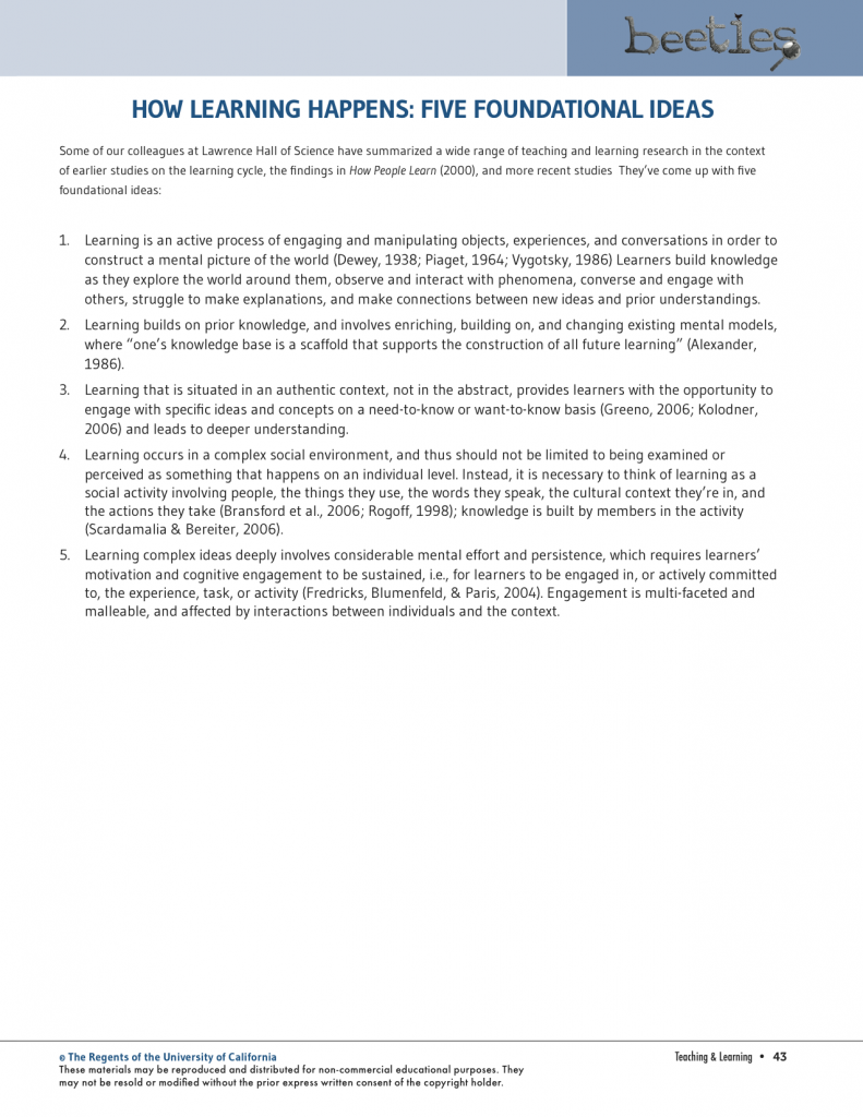 Beetles Project Teaching and Learning - Beetles Project