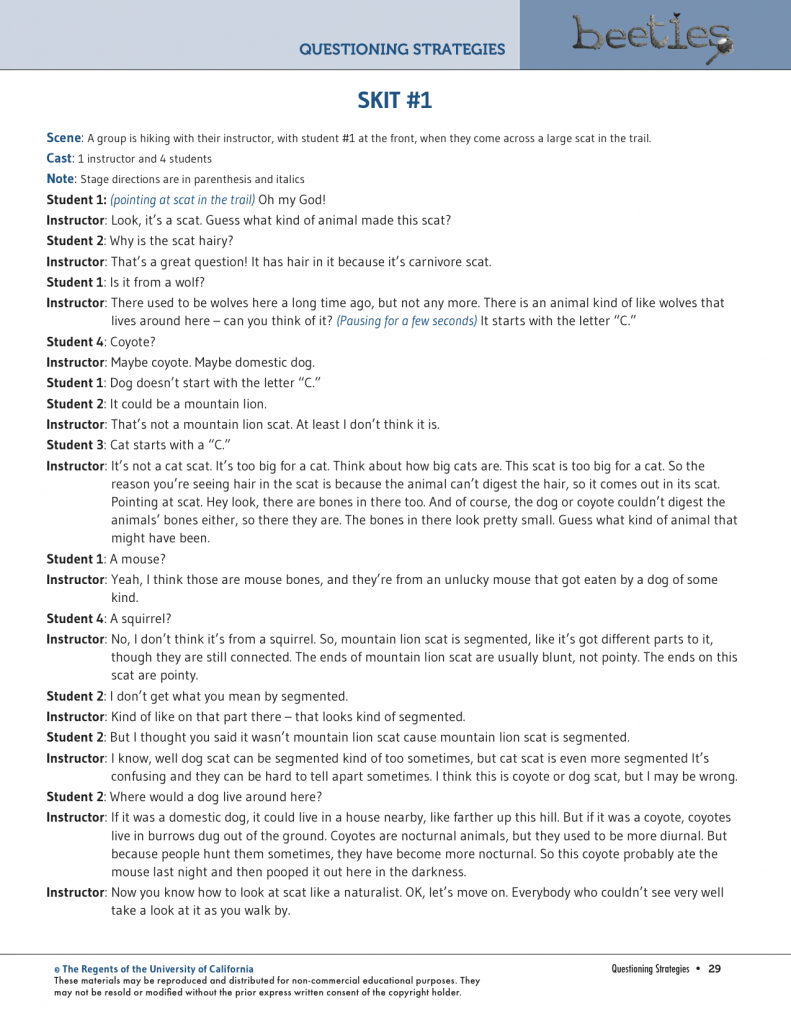 Beetles Project Questioning Strategies - Beetles Project