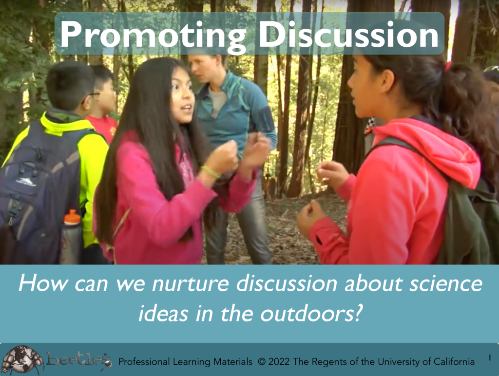 Beetles Project Promoting Discussion - Beetles Project
