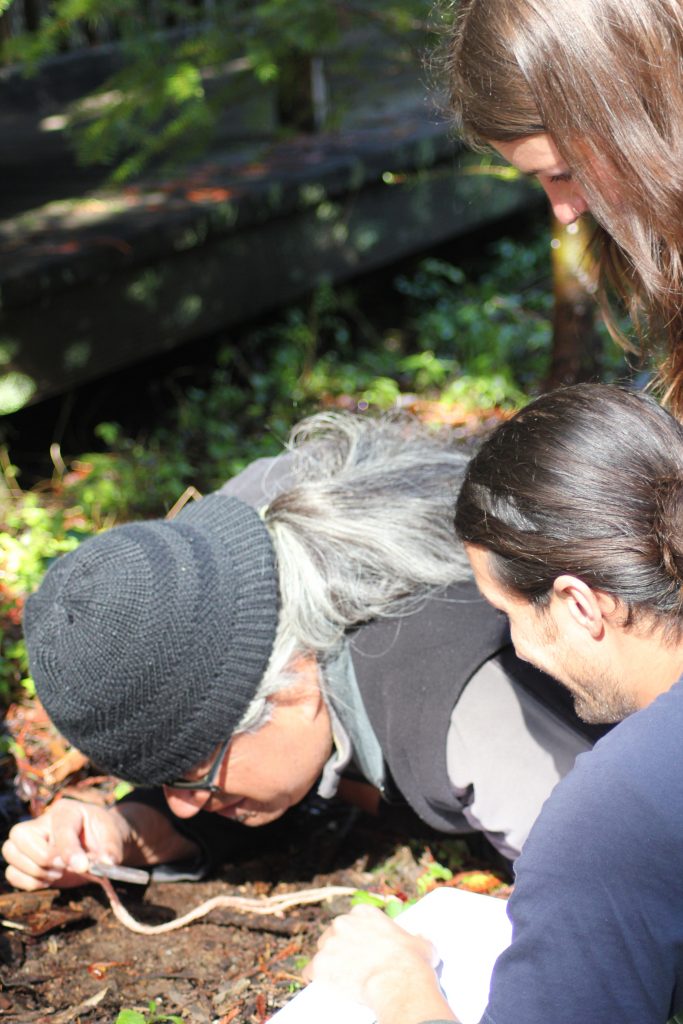 Beetles Project Leadership Institute - Beetles Project