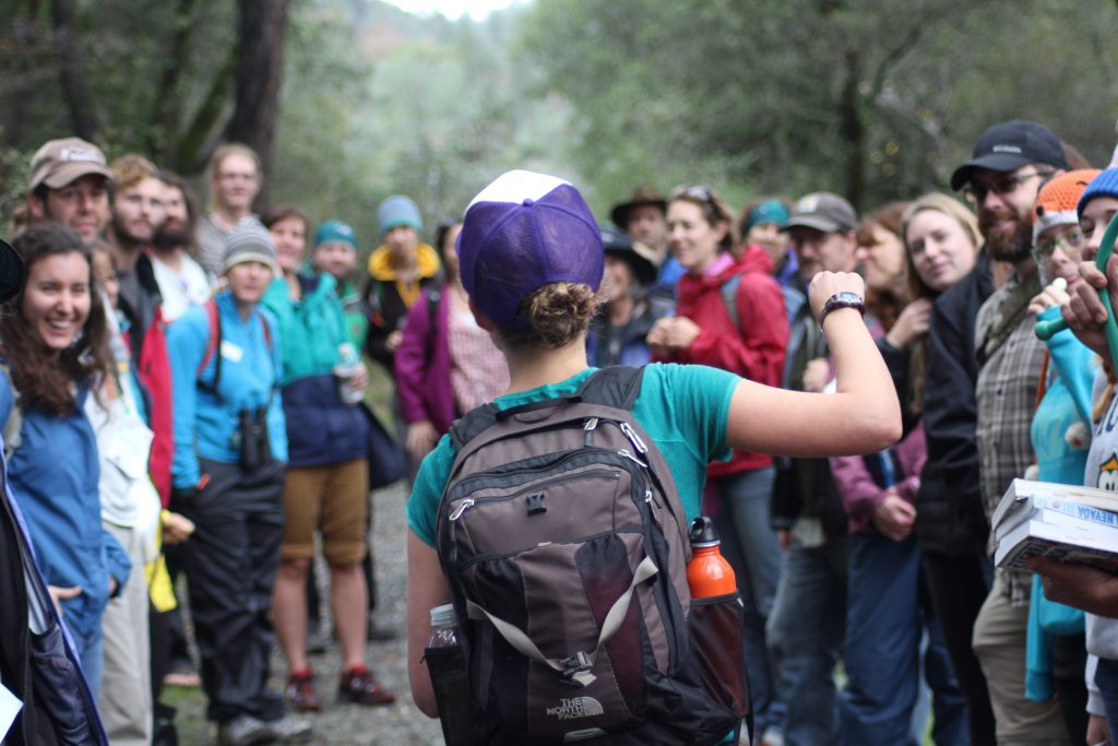 Beetles Project Leadership Institute - Beetles Project