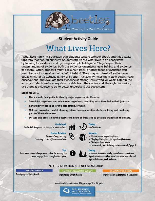 Beetles Project What Lives Here - Beetles Project