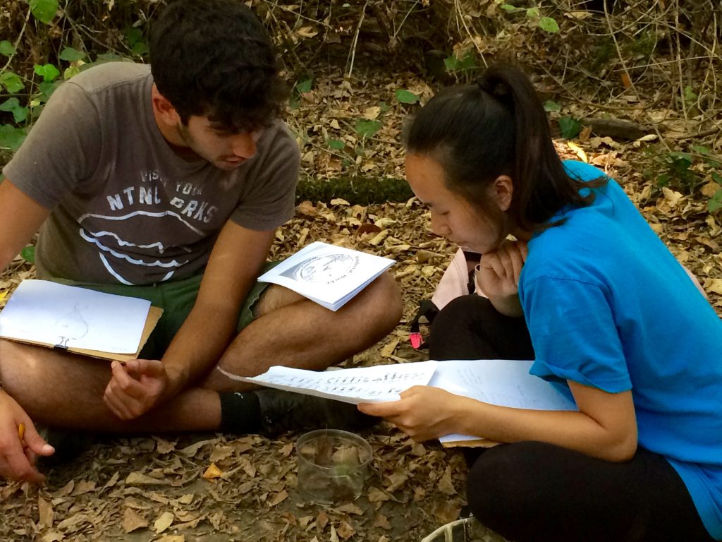 Beetles Project Emerging Leaders Program - Beetles Project