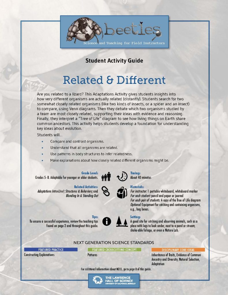 Beetles Project Related and Different - Beetles Project