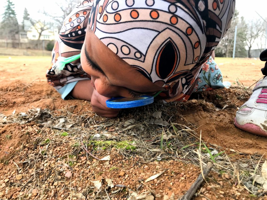 Beetles Project Tale from the Field– Connecting BEETLES Approaches and ...