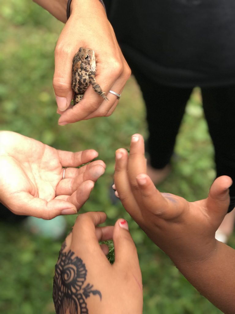 Beetles Project Tale from the Field– Connecting BEETLES Approaches and ...