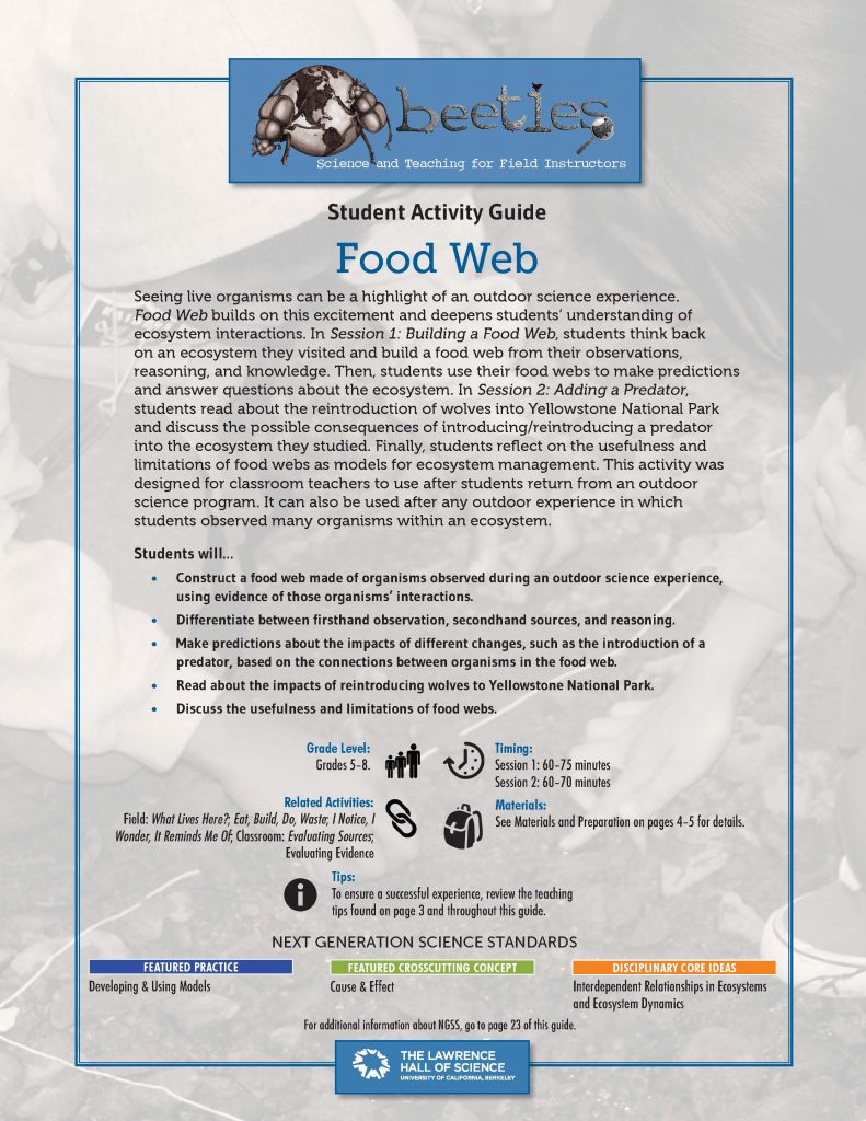 Beetles Project Food Web - Beetles Project