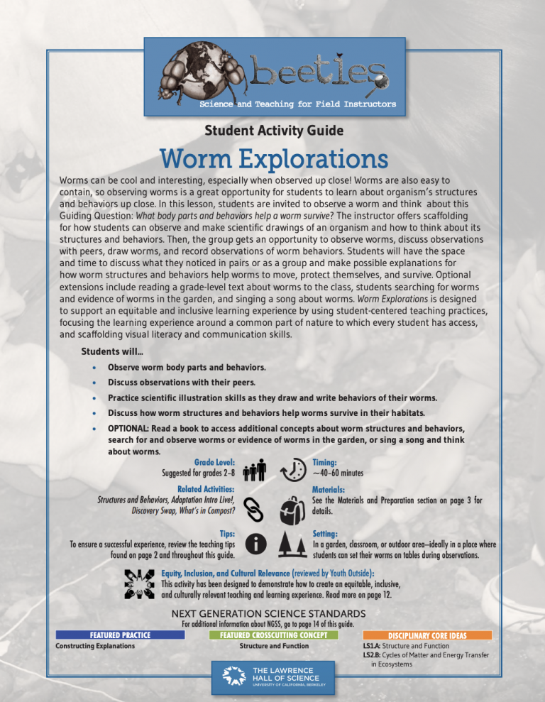 Beetles Project Worm Explorations - Beetles Project