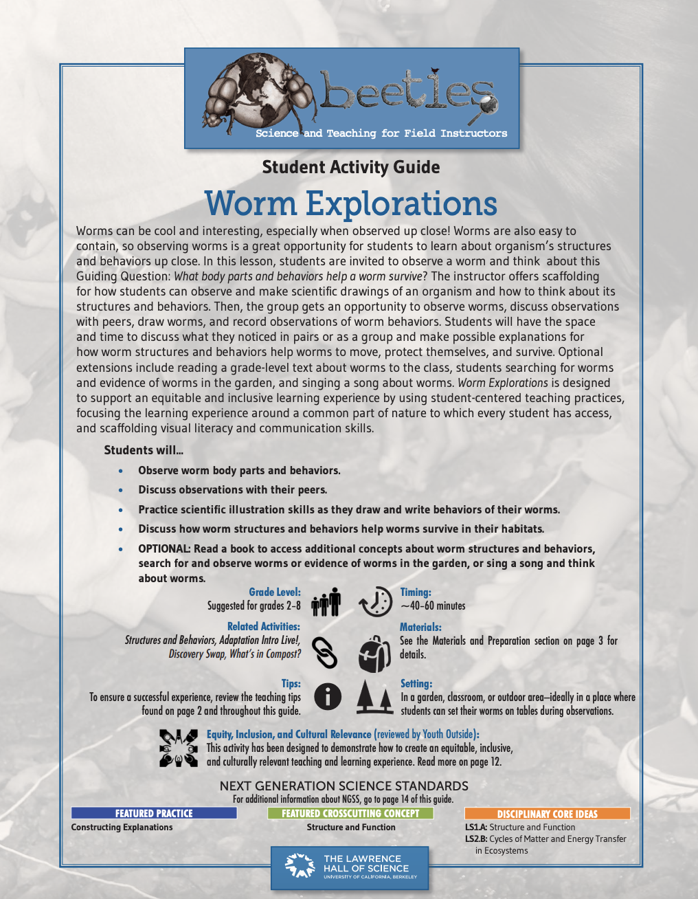 Beetles Project Worm Explorations - Beetles Project