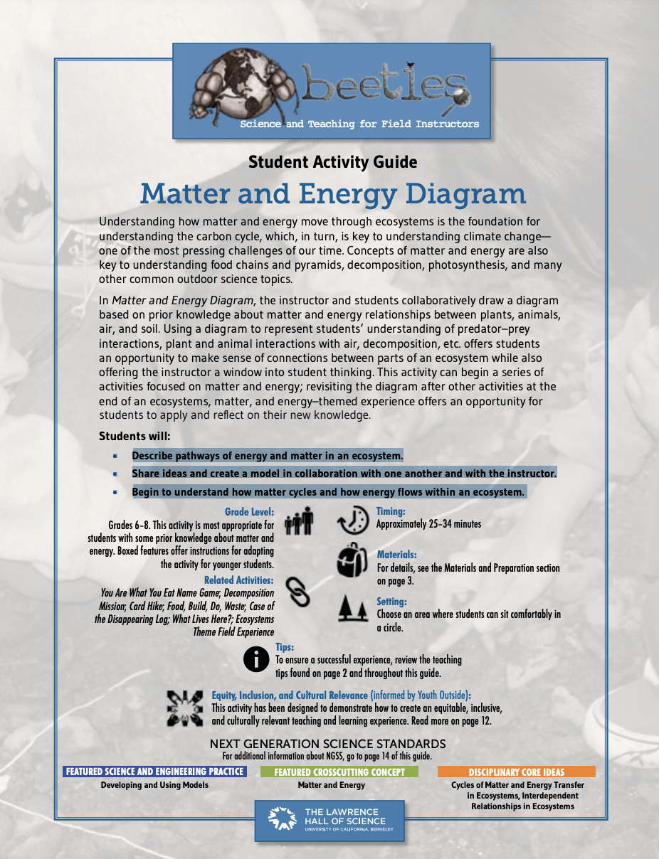 Beetles Project Matter and Energy Diagram - Beetles Project