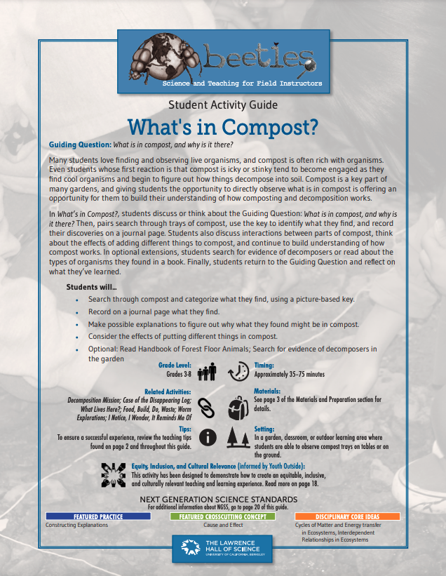 Beetles Project What's In Compost? - Beetles Project